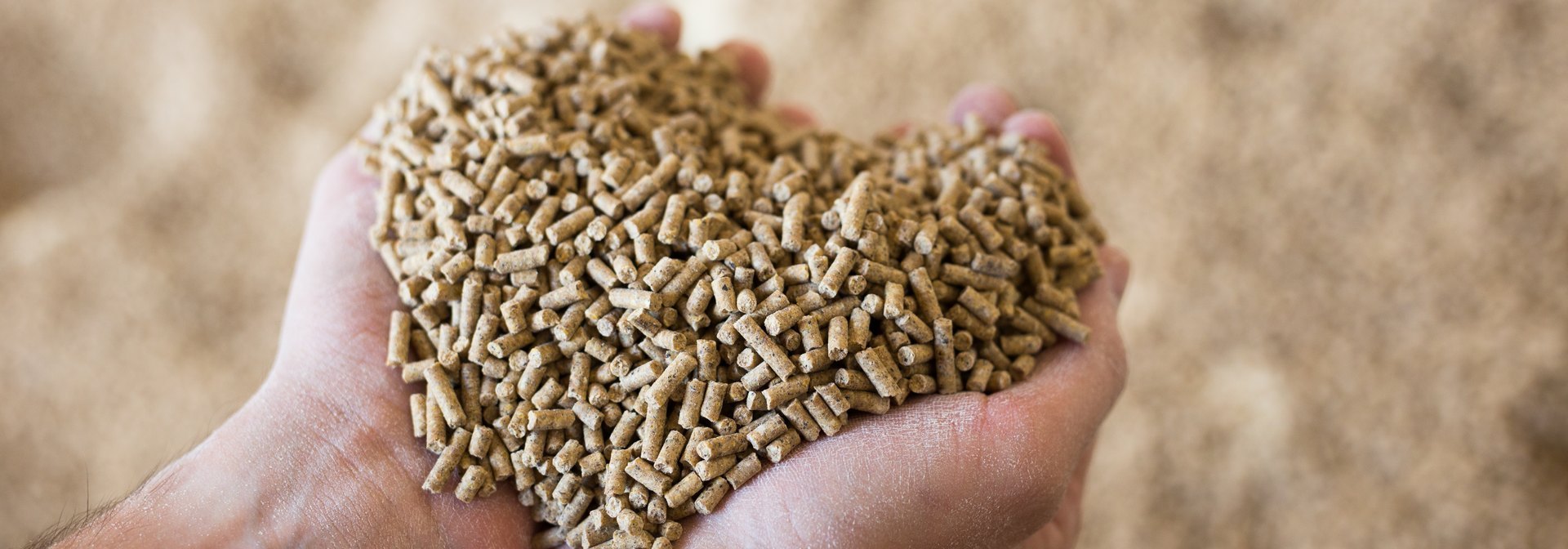 Futtermittel aus Bio­abfällen und tierischen Neben­produkten ...