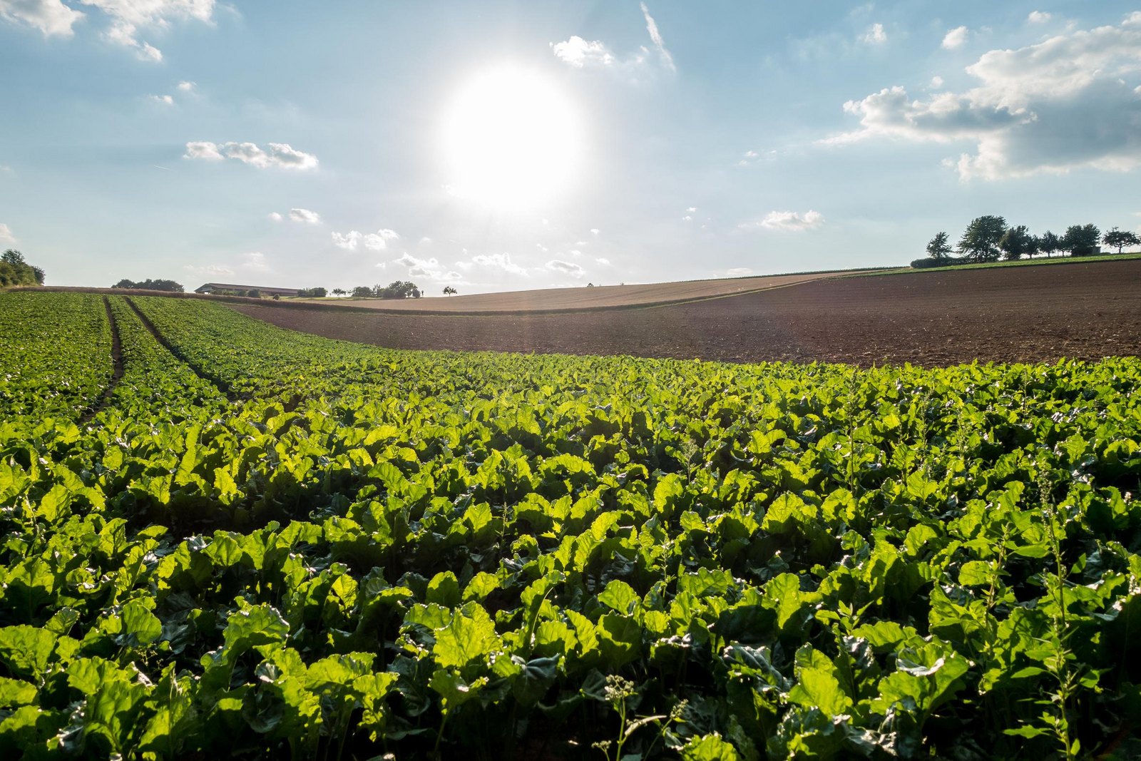 Produktion: Vom Rohstoff bis zur Qualitätsprüfung - Österreich isst ...